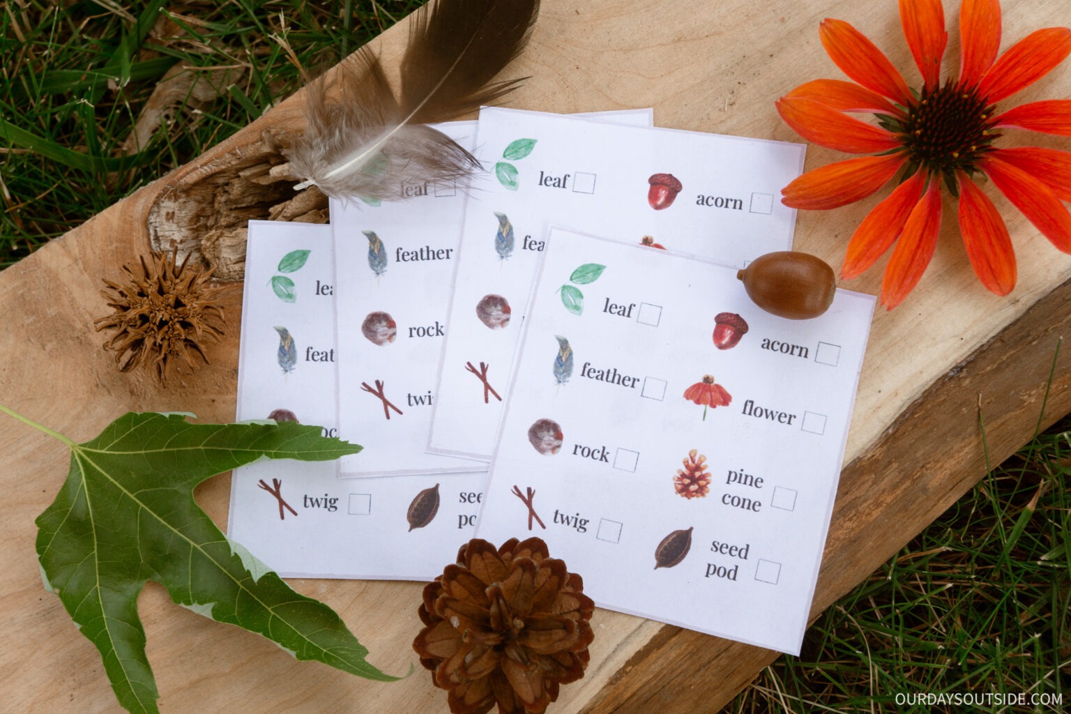 10 Fun Summer Camp Activities You Can Do At Home! - Our Days Outside