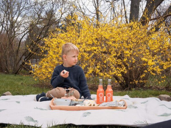 5 Festive Ideas for a Backyard Spring Picnic! - Our Days Outside