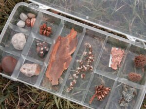 Create a Fun Nature Explorer Kit in 3 Easy Steps - Our Days Outside