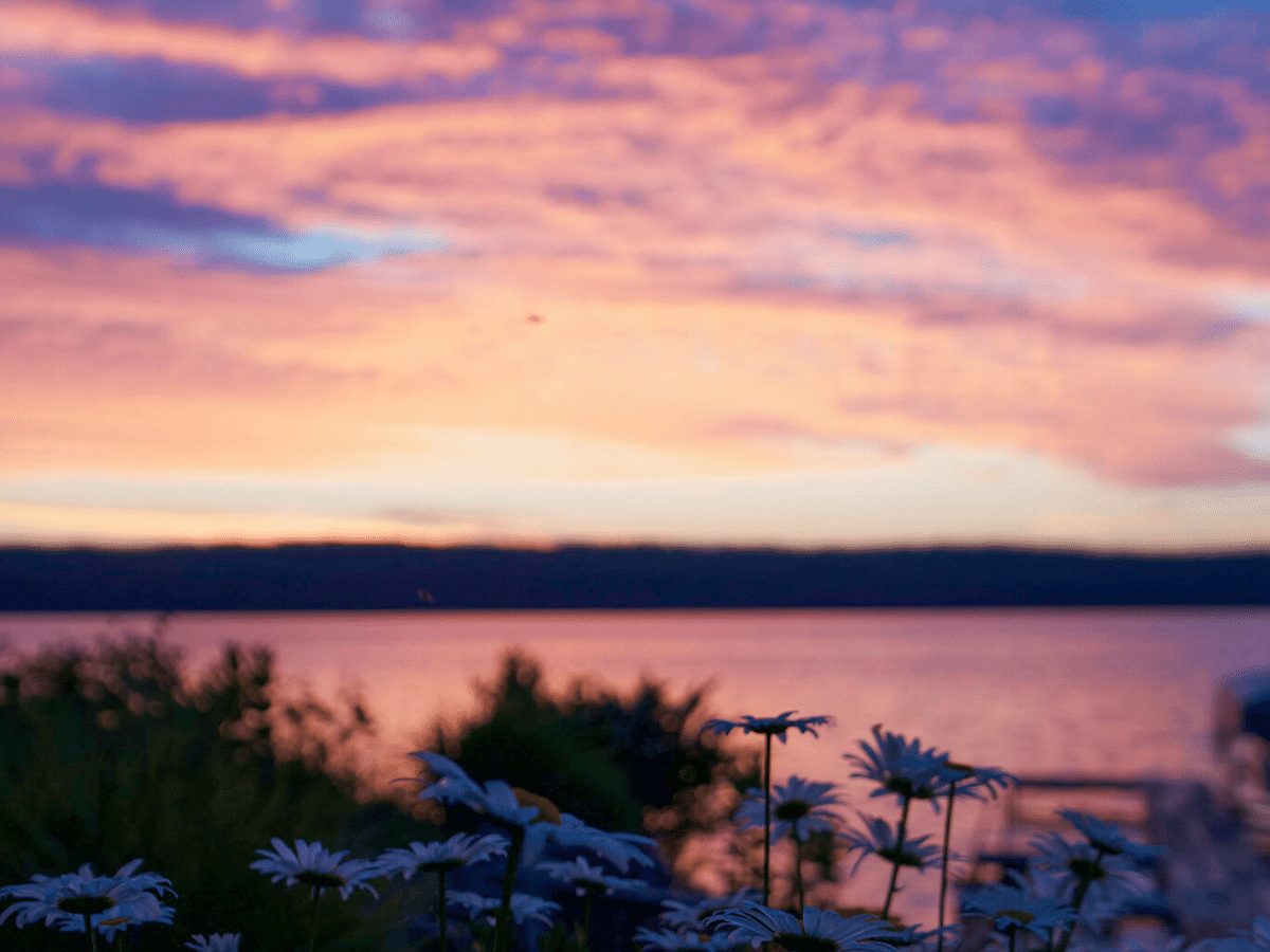 60 Best Summer Activities for Kids - Our Days Outside