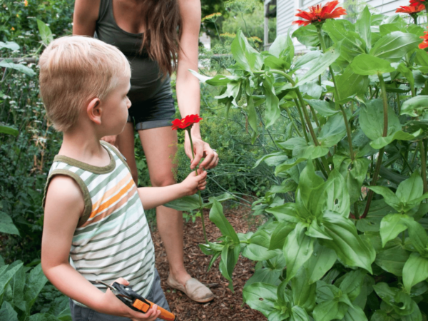 Gorgeous Nature Weaving Activity - Our Days Outside