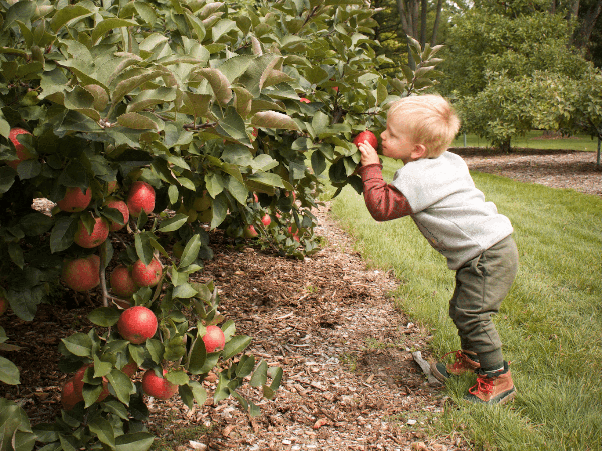 40 Of The Best Fall Activities To Do With Kids - Our Days Outside