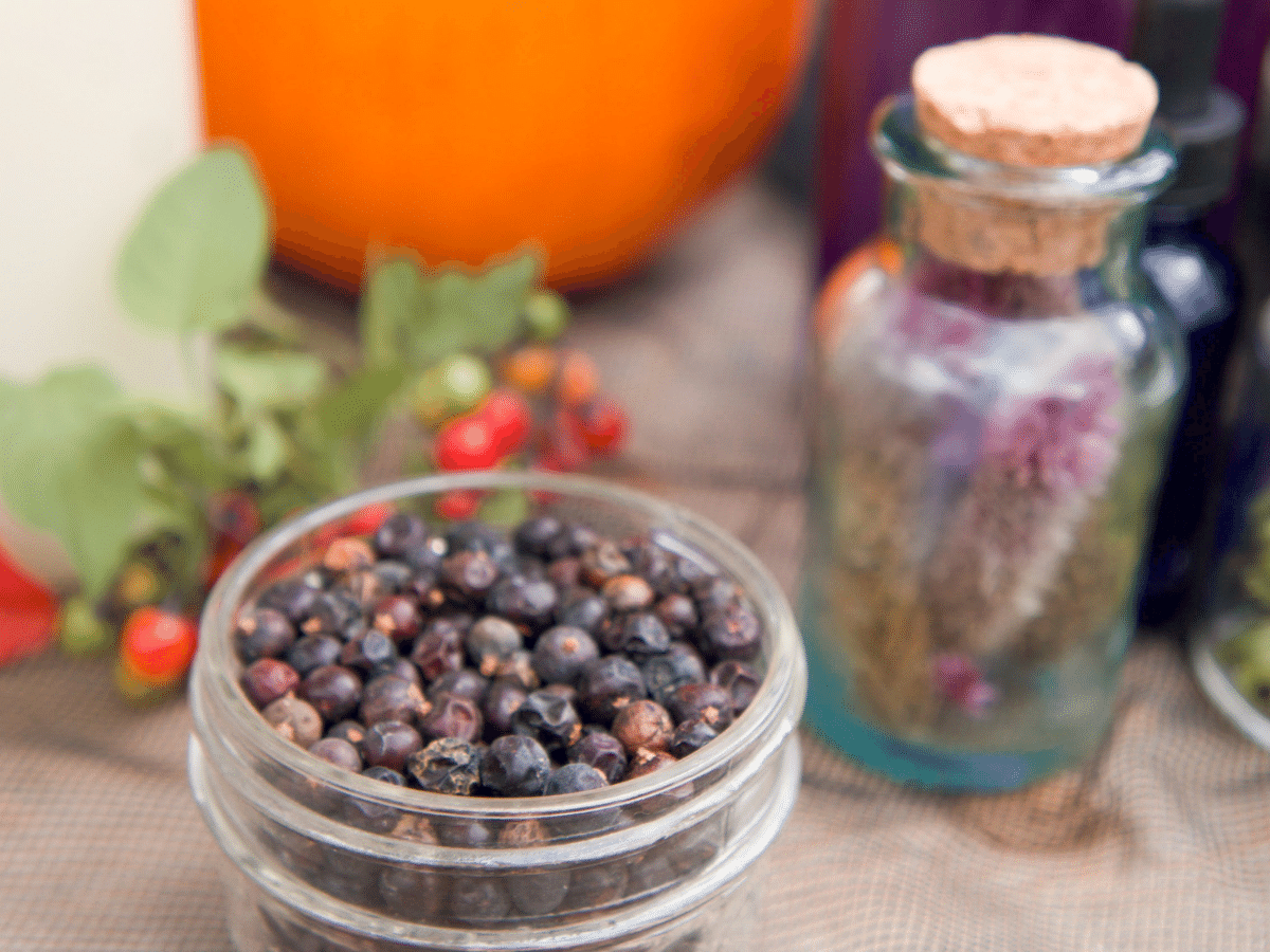 Halloween Activities for Kids: 3 Magical Potions to Concoct! - Our Days ...