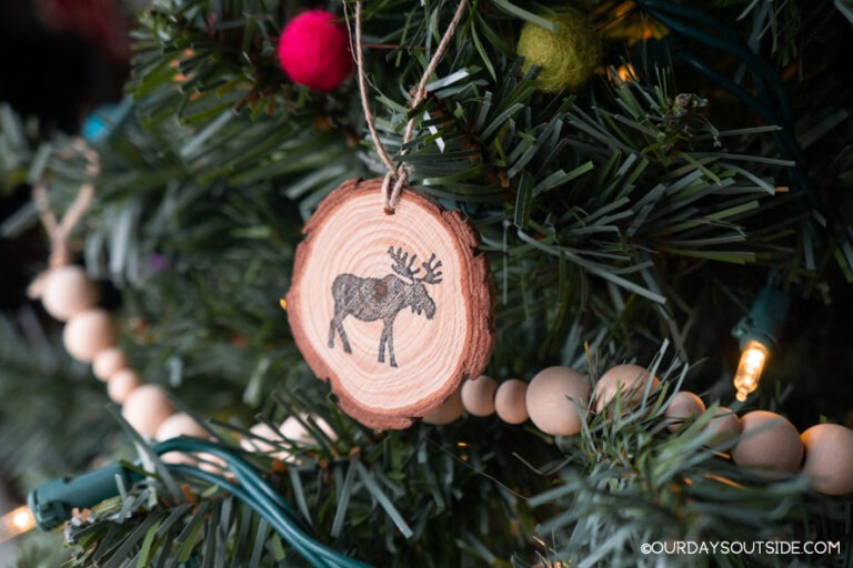 10 Easy DIY Christmas Crafts Using Nature - Our Days Outside