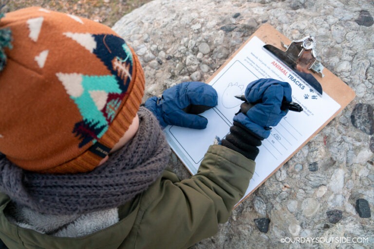5 Interactive Ways to Study Animal Tracks with Kids! - Our Days Outside