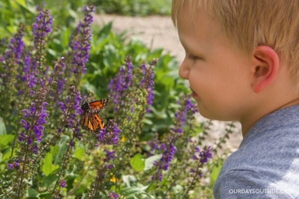 4 Easy Ways to Make a Pollinator Garden with Kids - Our Days Outside