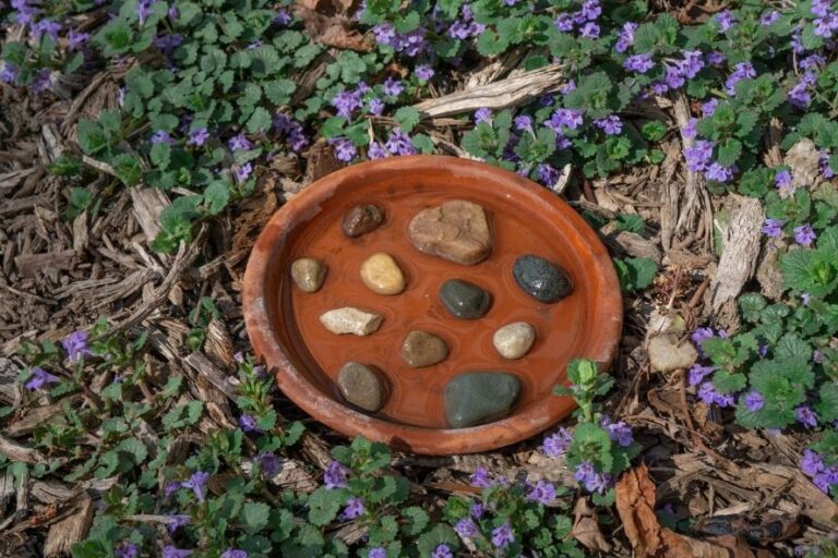 4 Easy Ways to Make a Pollinator Garden with Kids - Our Days Outside