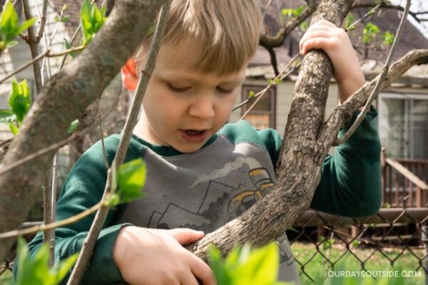 13 Fascinating Benefits of Outdoor Play - Our Days Outside