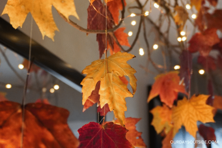 40 Of The Best Fall Activities To Do With Kids - Our Days Outside