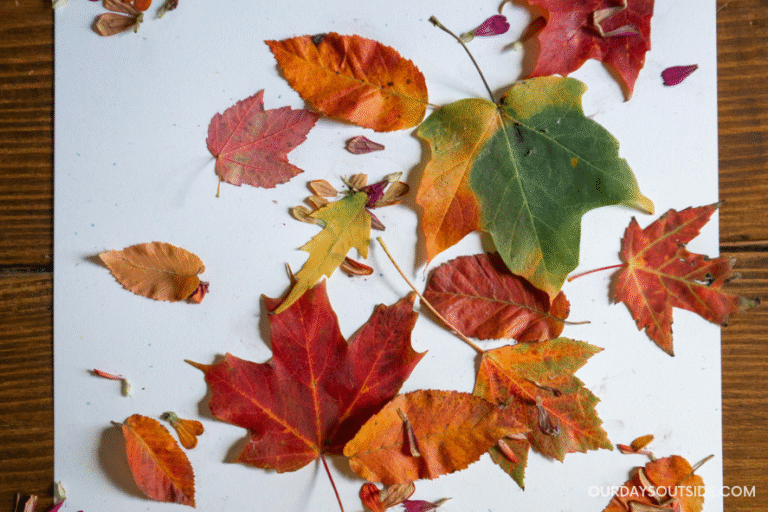 40 Of The Best Fall Activities To Do With Kids - Our Days Outside