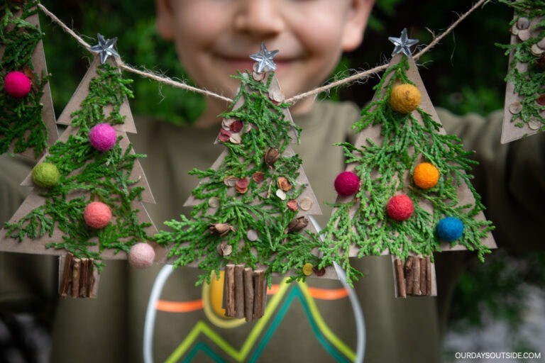 10 Easy DIY Christmas Crafts Using Nature - Our Days Outside