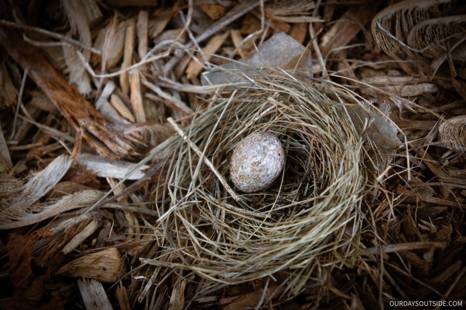 Create a Fun Nature Explorer Kit in 3 Easy Steps - Our Days Outside