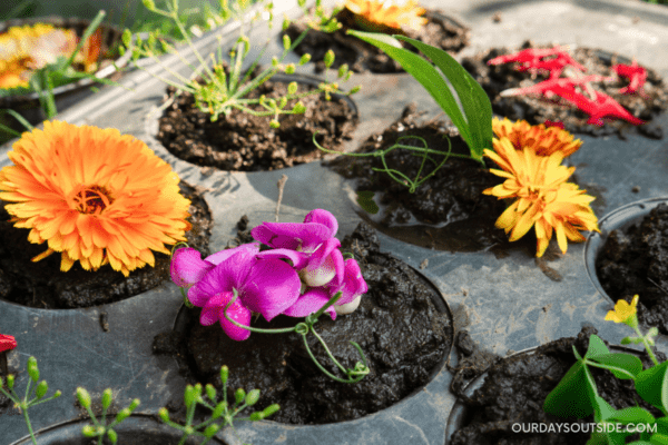 10 Fun And Engaging Gardening Activities For Kids - Our Days Outside