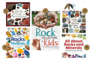100 Best Nature Books For Kids - Our Days Outside