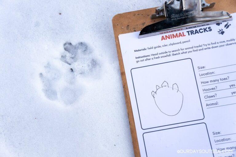 20 Fun Outdoor Winter Activities For Kids - Our Days Outside